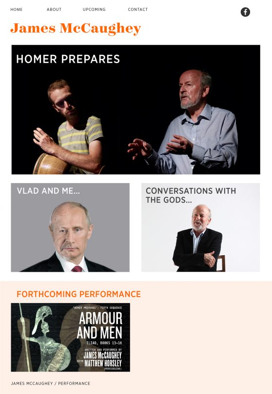 James McCaughey website – Dianna Wells Design